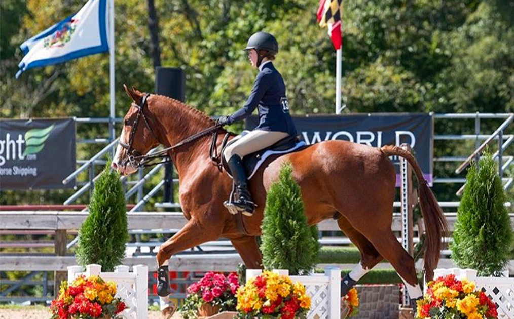 Training | Ascend Equestrian